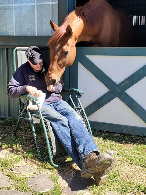 Coexist Stables | Where All Disciplines Are Top Rated