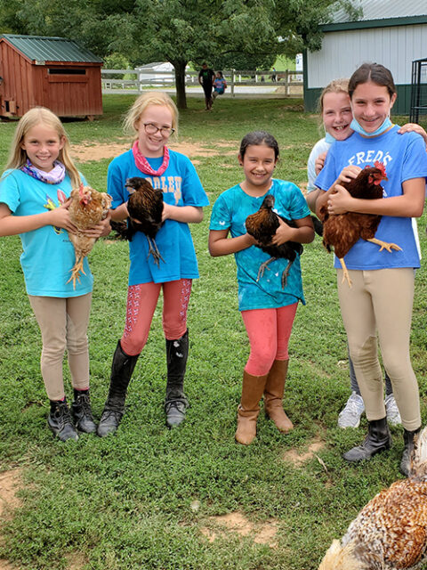 Coexist Stables | Where All Disciplines Are Top Rated