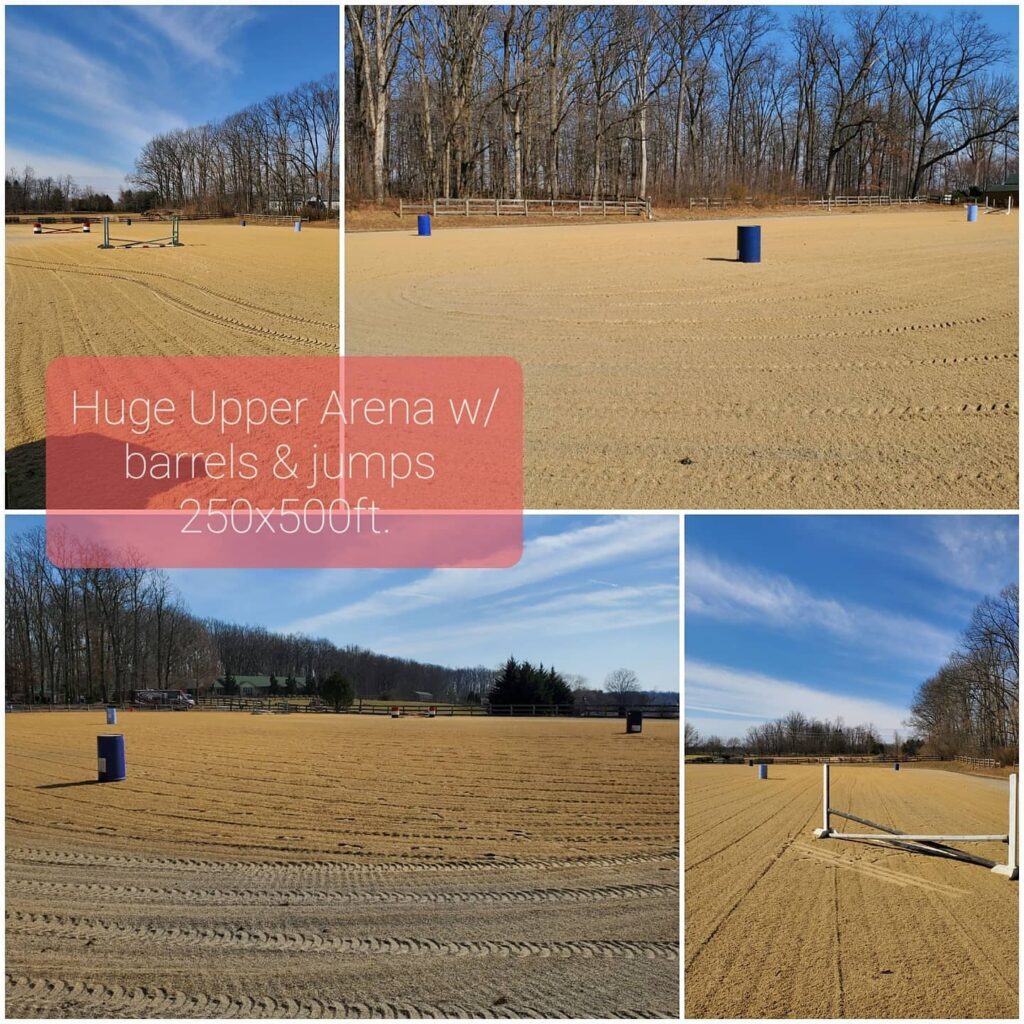 Facilities | Coexist Stables