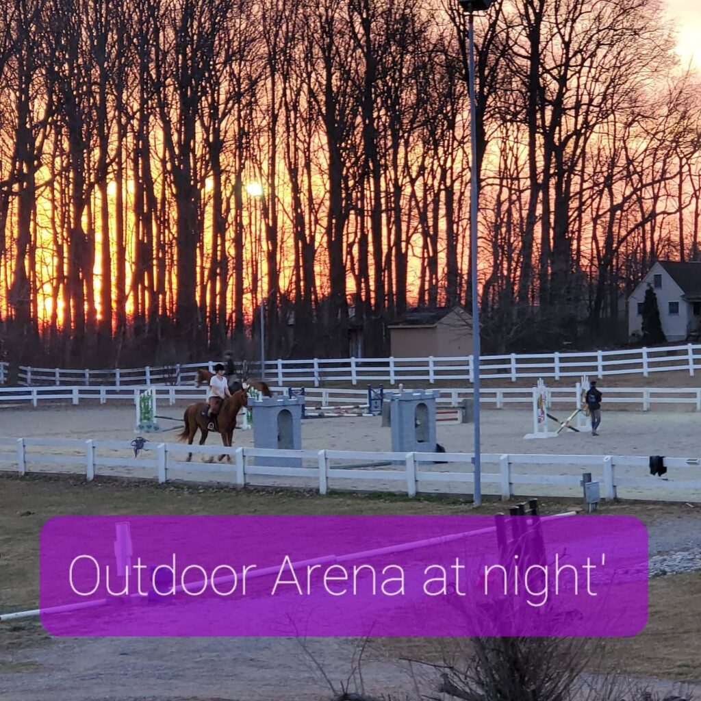 Facilities | Coexist Stables