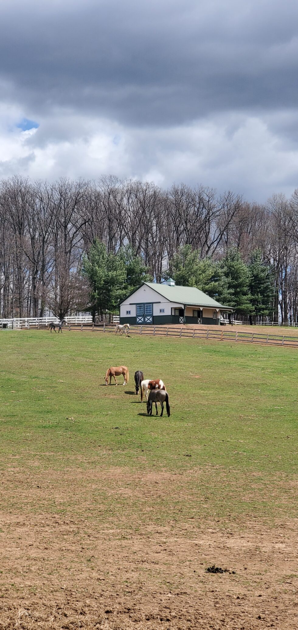 Leasing & Boarding | Coexist Stables