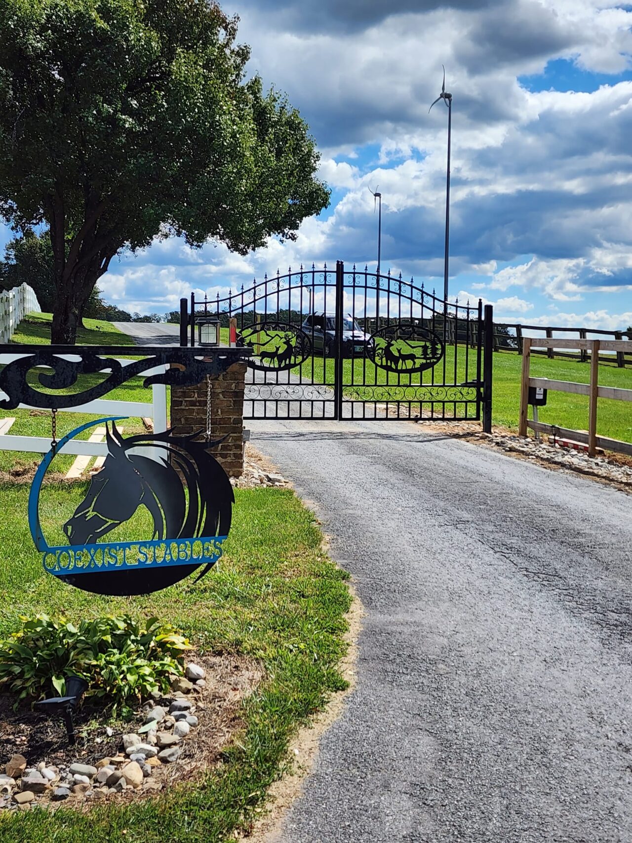 Coexist Stables | Where All Disciplines Are Top Rated