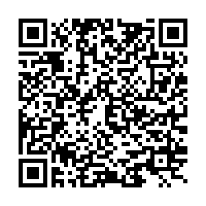 Coexist Stables | Where All Disciplines Are Top Rated