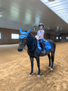 Coexist Stables | Where All Disciplines Are Top Rated