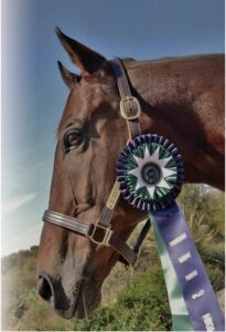 Coexist Stables | Where All Disciplines Are Top Rated