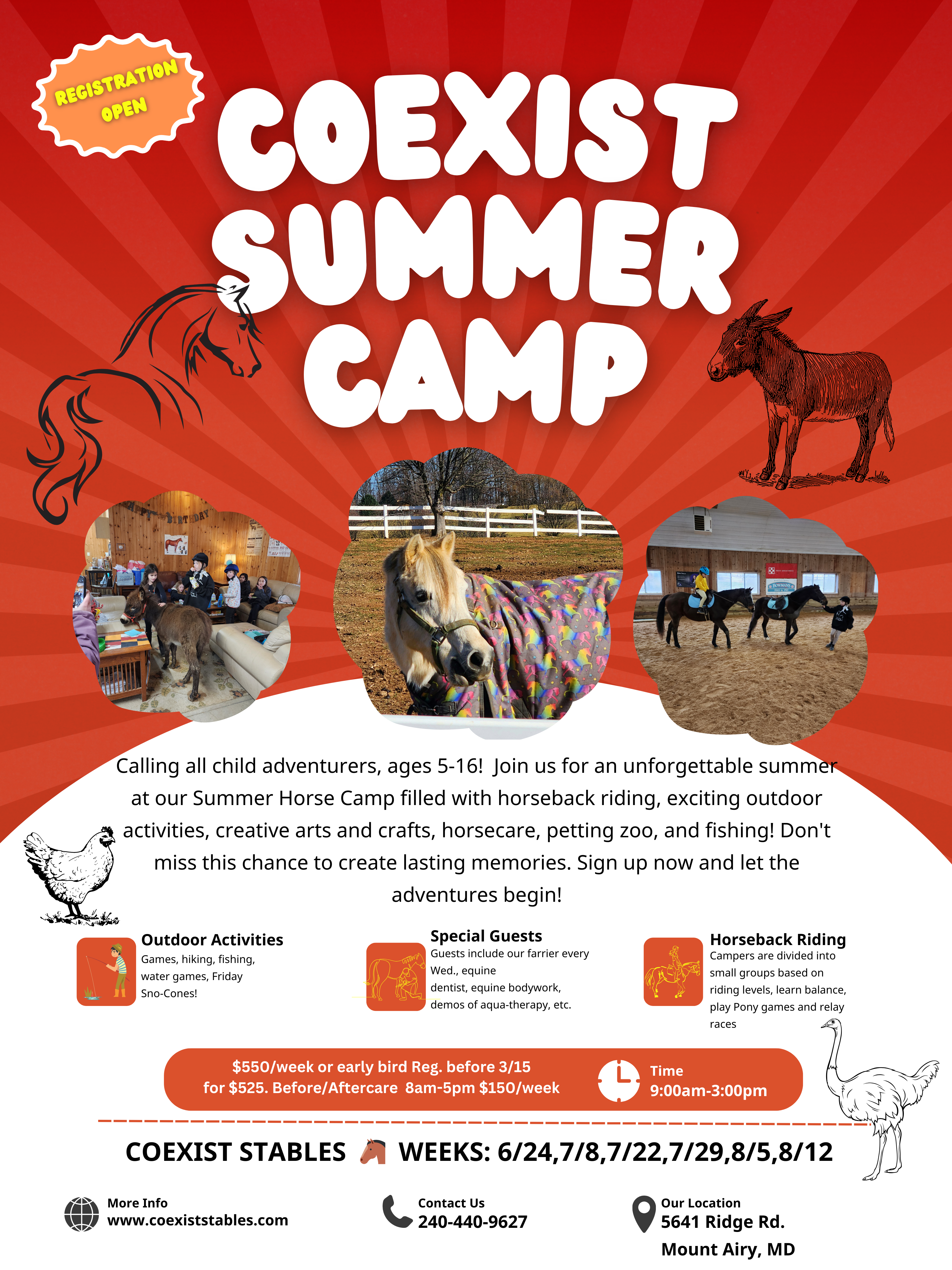 Summer Camp | Coexist Stables